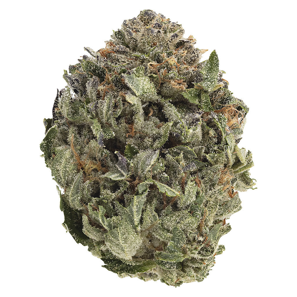 Organic Death Bubba by 1964 - 3.5g | 14g - The Potherb Cannabis Online Store Mississauga. The ...